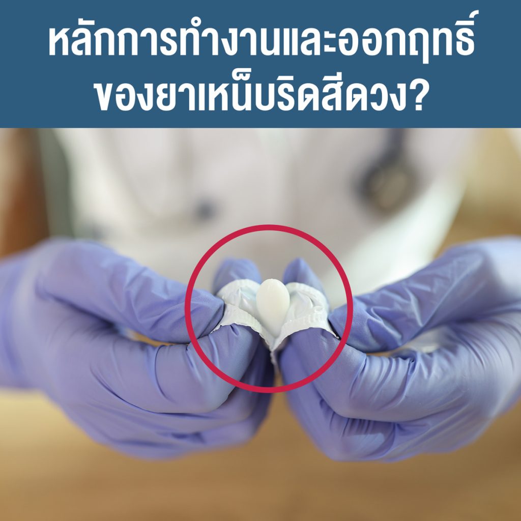 ข้อควรรู้ก่อนใช้ ยาเหน็บริดสีดวง คือ? ช่วยอะไร? มีวิธีใช้อย่างไรให้ปลอดภัย